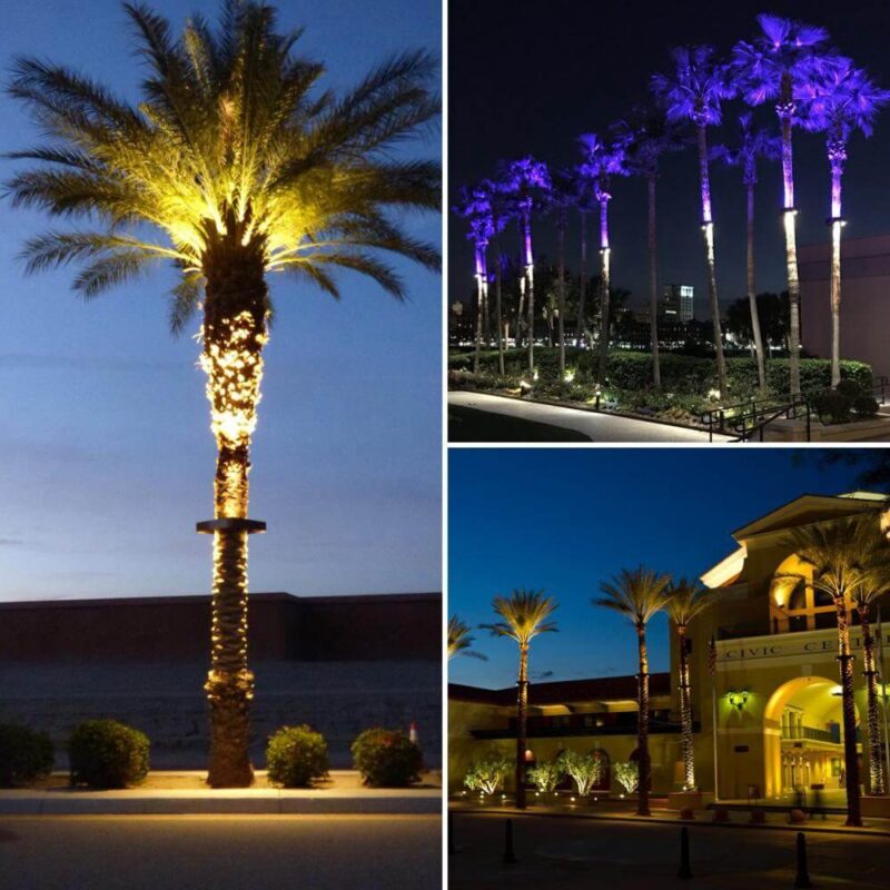 How to Choose Palm Tree Ring Lights: A Glow-Up for Your Outdoor Paradise