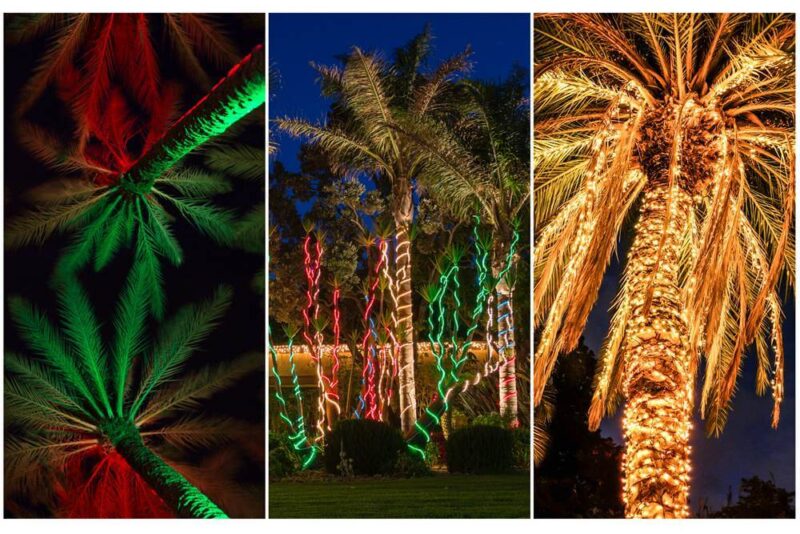 How to Choose Palm Tree Ring Lights: A Glow-Up for Your Outdoor Paradise