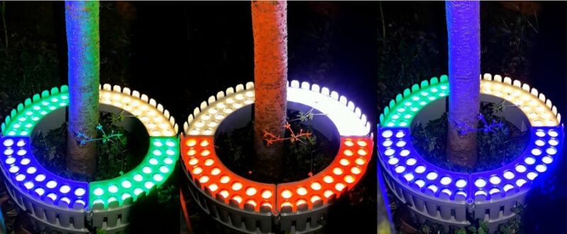 How to Choose Palm Tree Ring Lights: A Glow-Up for Your Outdoor Paradise
